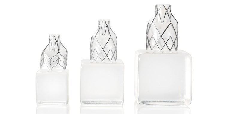 History of Pulmonx, Maker of Zephyr Valve - Pulmonx