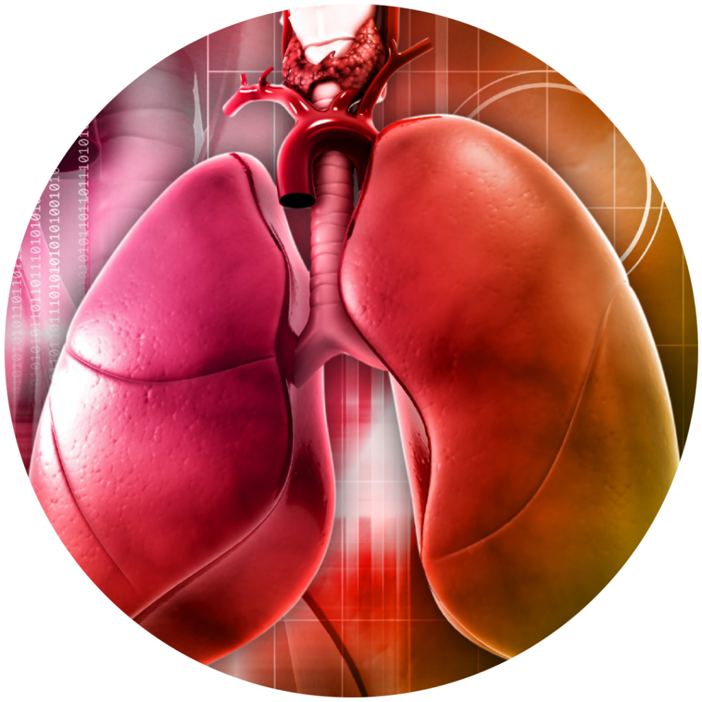 CME Education - Pulmonx