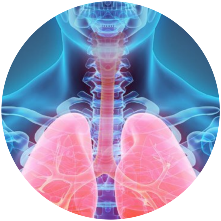 CME Education - Pulmonx